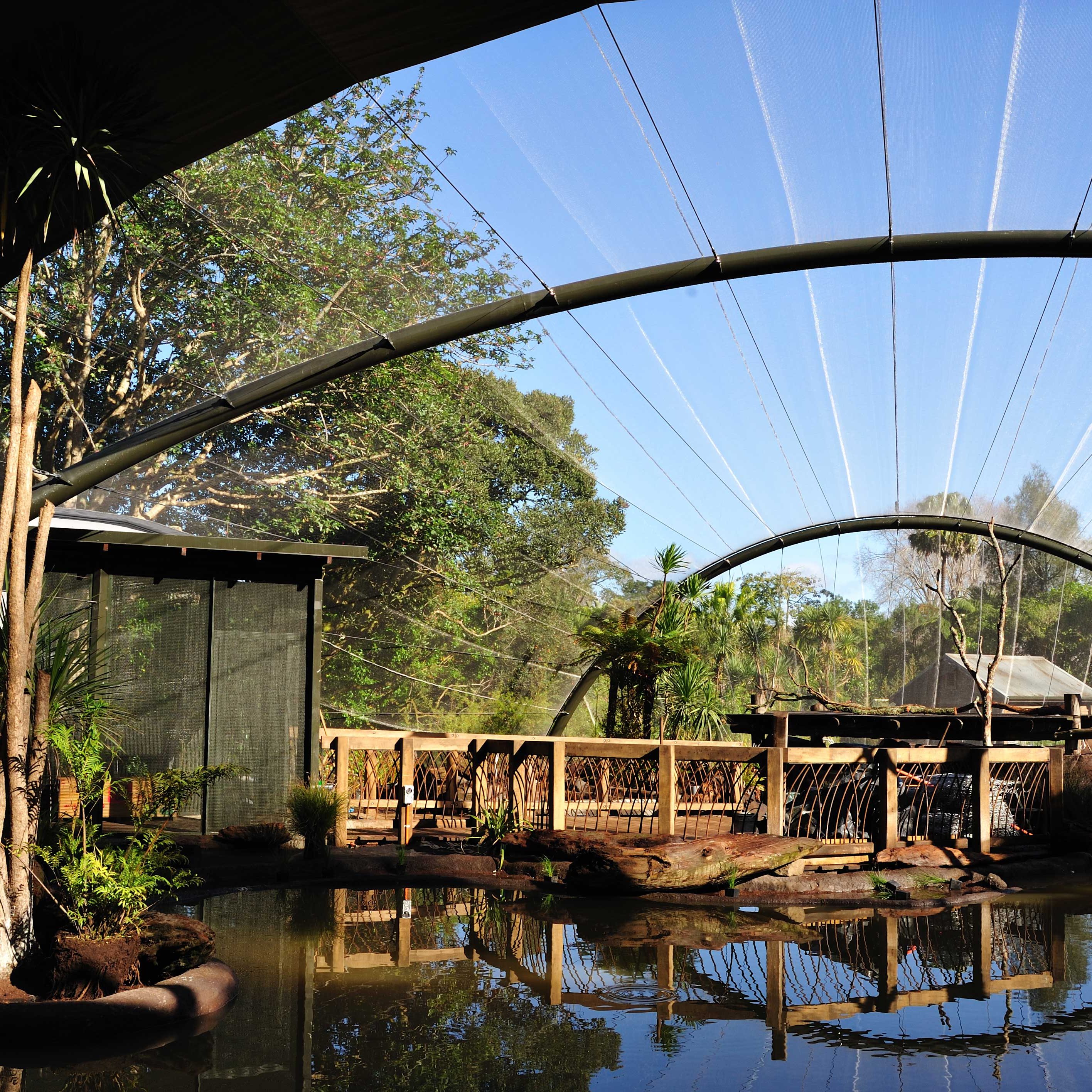 The Tepid Baths - NZ Strong